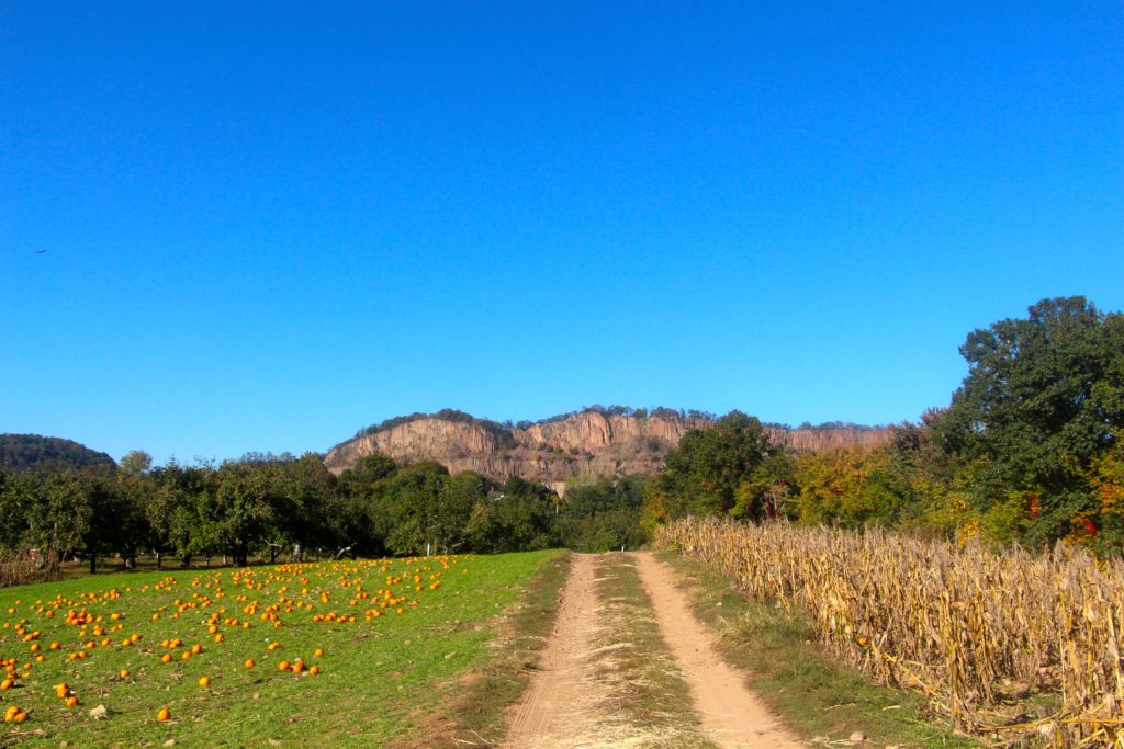 AUTUMN » LAYNE FABLE